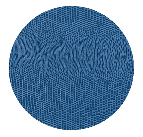 Faux Lizard Navy Coaster Round 8" with Felt Back (Set of 8 ...