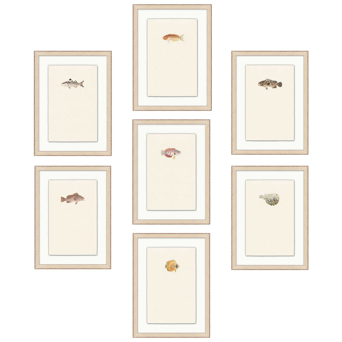 Petite Fish – Pineapples Palms Too – Pineapples Palms Too